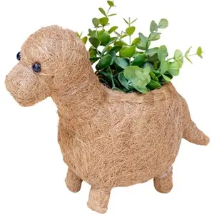 LIKHA Dinosaur Coco Coir Planters - Brown Baby Bronto
