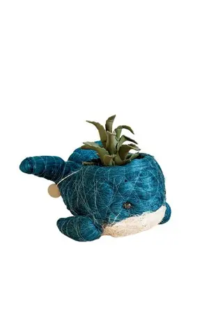 LIKHA Aquatic Animal Coco Coir Planters Aqua