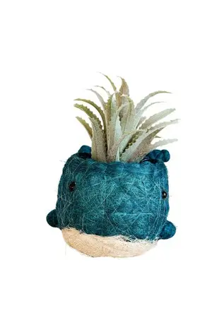 LIKHA Aquatic Animal Coco Coir Planters - Blue