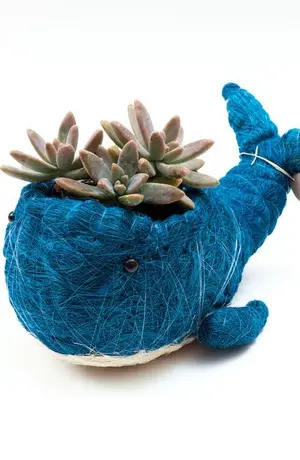 LIKHA Aquatic Animal Coco Coir Planters - Blue