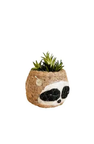 LIKHA Animal Head Coco Coir Planters - Small Three-tone