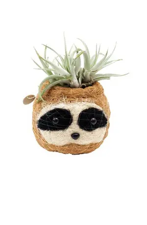 LIKHA Animal Head Coco Coir Planters - Small Three-tone