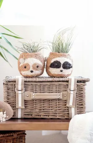 LIKHA Animal Head Coco Coir Planters - Small Three-tone