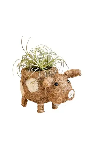 LIKHA Farm Animal Coco Coir Planters - Natural Brown