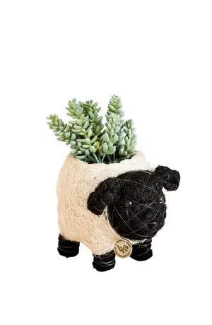 LIKHA Farm Animal Coco Coir Planters - Natural White