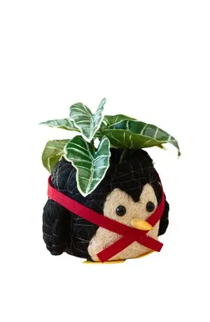 LIKHA Winter Animal Coco Coir Planters