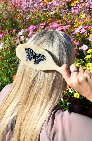 SOLAR ECLIPSE Hand Painted Swallowtail Amazing Hair Day Brush