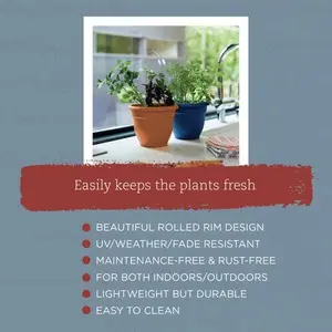 BLOEM 20" Ariana Pot Planter