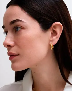 Astley Clarke Celestial Hoop Earrings