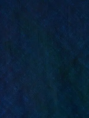 Canali Wool Woven Tie
