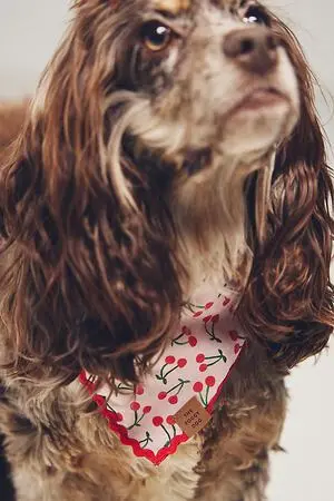 THE FOGGY DOG Ruffle Pet Bandana - Cherry