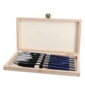 CAPDECO Conty Box Of Steak Knives, Set Of 6 - Blue