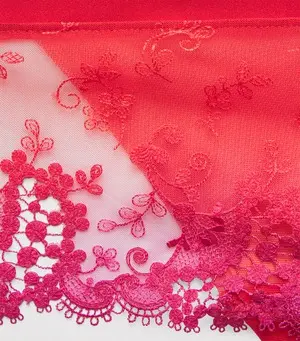 Simone Perele Lace Wish Briefs
