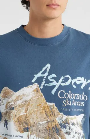 ID SUPPLY CO Npl Ski Areas Graphic T-shirt