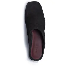 Bernardo Porto Mule