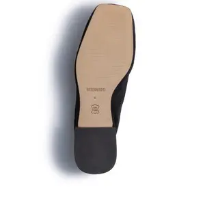 Bernardo Porto Mule