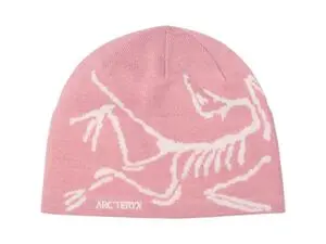 Arc'teryx Bird Head Toque Beanie - Bliss/artic Silk