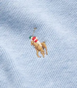 Polo Ralph Lauren Cotton Quarter-zip Logo Sweater - Blue