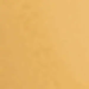 LA BONNE BROSSE N.03 The Essential Soft Hair Brush - Yellow