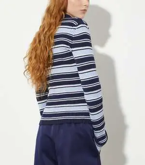 Max & Co. Rib-knit Stripe Polo Sweater - Blue