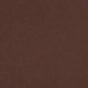 SKIMS Fits Everybody Thong - Brown