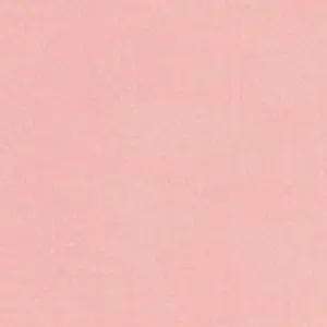 Eleventy Cashmere Scarf - Nude