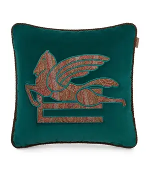Etro Cotton Embroidered Somerset Cushion - Turquoise