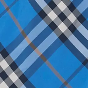 Burberry Check Swim Shorts - Blue