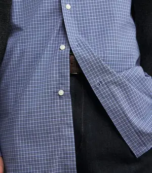 Polo Ralph Lauren Cotton Poplin Check Shirt - Blue