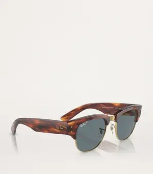 Ray-ban Propionate Sunglasses - Brown