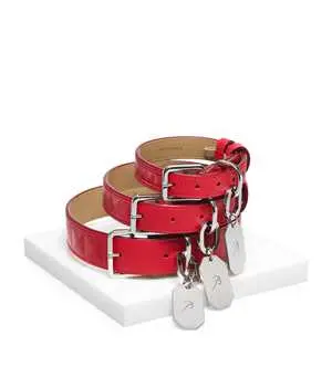 THE MARTHA, BY BACCARAT Leather Louxor Pet Collar