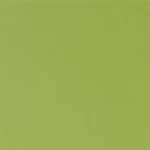 Ray-ban Xan Sunglasses - Green