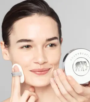 CHANTECAILLE Future Skin Cushion Skincare Foundation - Ivory