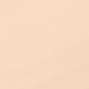 CHANTECAILLE Future Skin Cushion Skincare Foundation - Ivory