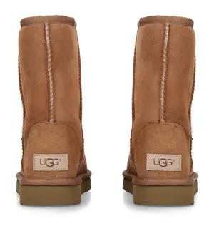 UGG Classic Ii Short Boots