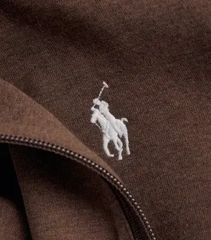 Polo Ralph Lauren Tech Knit Zip-up Hoodie - Brown