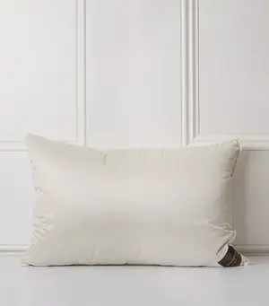 BRINKHAUS Arctic Duck Down Pillow