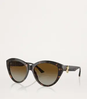 JIMMY CHOO Acetate Jc5007 Sunglasses - Brown