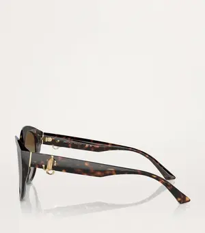 JIMMY CHOO Acetate Jc5007 Sunglasses - Brown