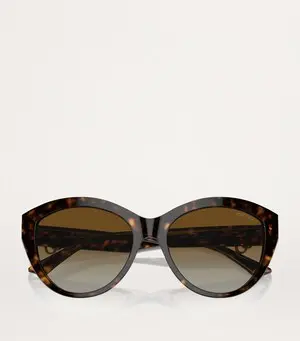 JIMMY CHOO Acetate Jc5007 Sunglasses - Brown