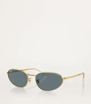 Ray-ban Full Rim Sunglasses