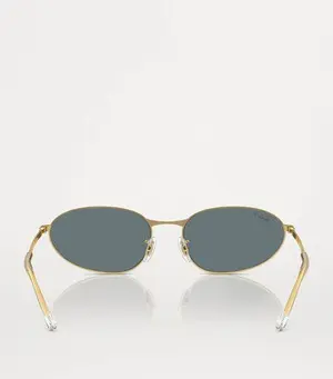 Ray-ban Full Rim Sunglasses