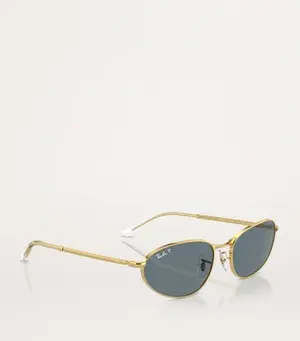 Ray-ban Full Rim Sunglasses