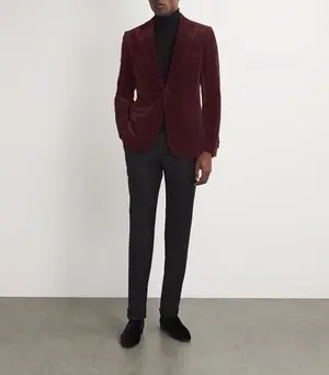 Brioni Velvet Single-breasted Blazer