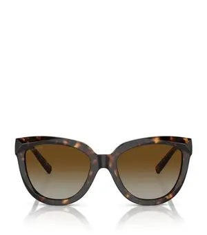 Ray-ban Sunglasses Full Rim Cat Eye Frame - Gold