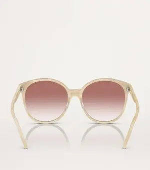 VOGUE Acetate Sunglasses - Brown