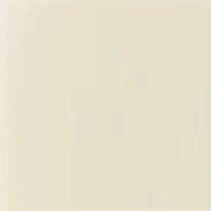 Balenciaga Acetate Sunglasses - White