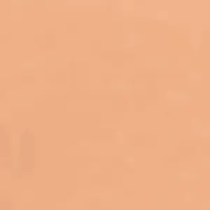 Dior Forever Skin Perfect Foundation - Beige