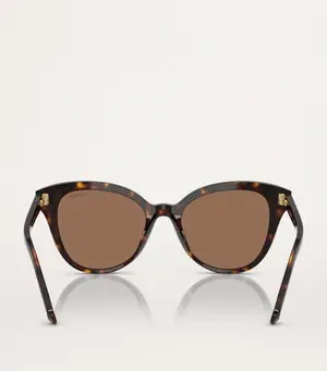 SWAROVSKI Acetate Sk6031 Sunglasses