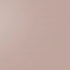 Moncler Injected Caprice Me8006 Sunglasses - Grey